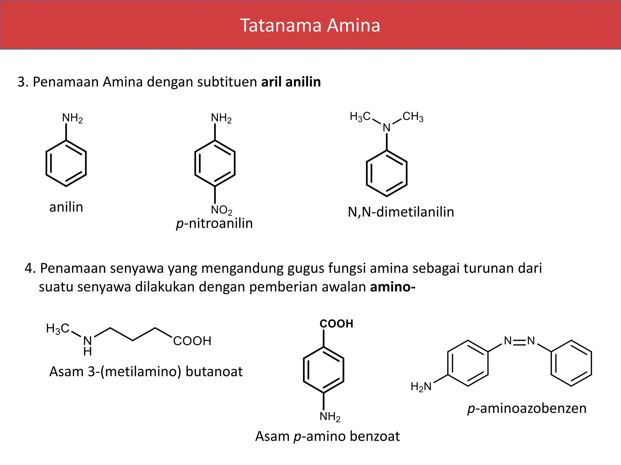 Power Point Amina dan Turunannya, Sifat-sifat Amina dsb.pptx