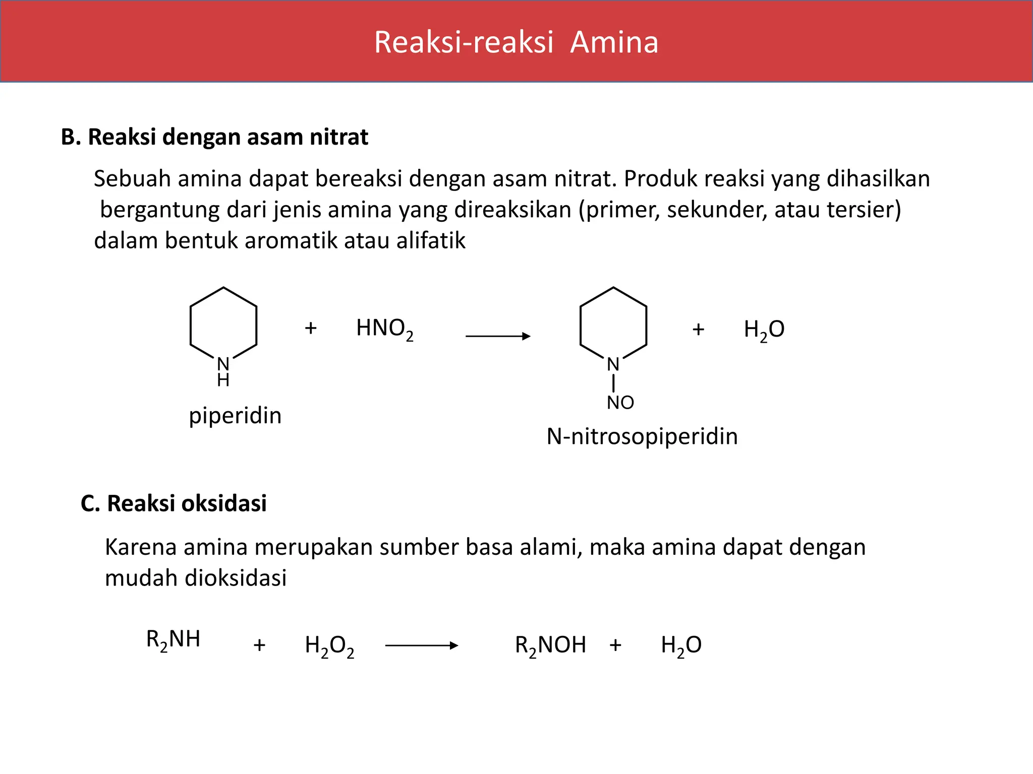 Power Point Amina dan Turunannya, Sifat-sifat Amina dsb.pptx