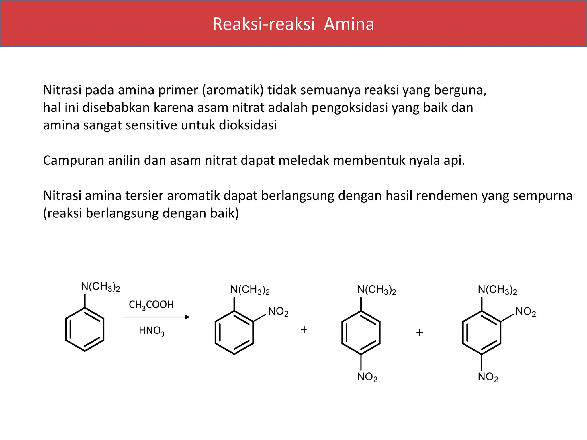 Power Point Amina dan Turunannya, Sifat-sifat Amina dsb.pptx