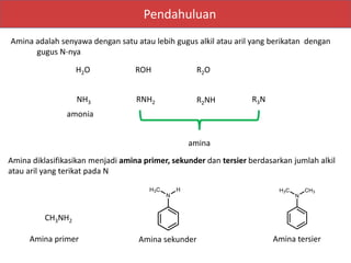 Power Point Amina dan Turunannya, Sifat-sifat Amina dsb.pptx