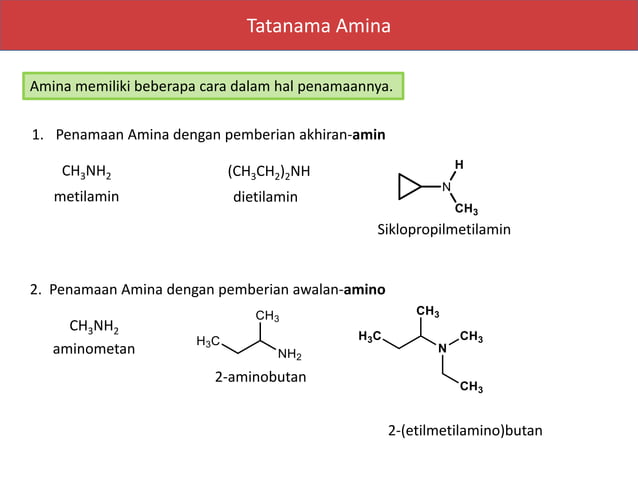 Power Point Amina dan Turunannya, Sifat-sifat Amina dsb.pptx