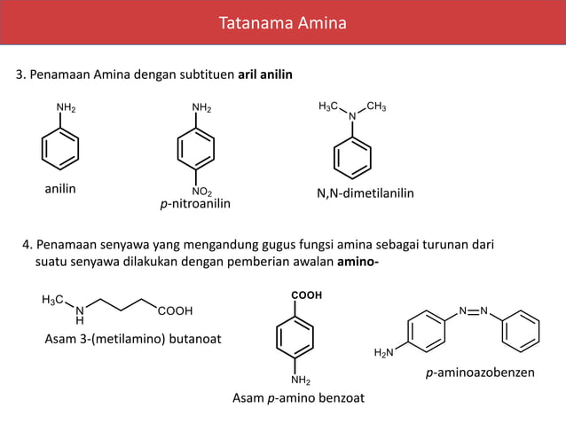 Power Point Amina dan Turunannya, Sifat-sifat Amina dsb.pptx
