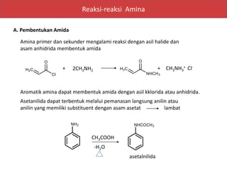 Power Point Amina dan Turunannya, Sifat-sifat Amina dsb.pptx