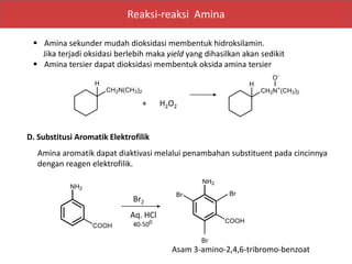 Power Point Amina dan Turunannya, Sifat-sifat Amina dsb.pptx