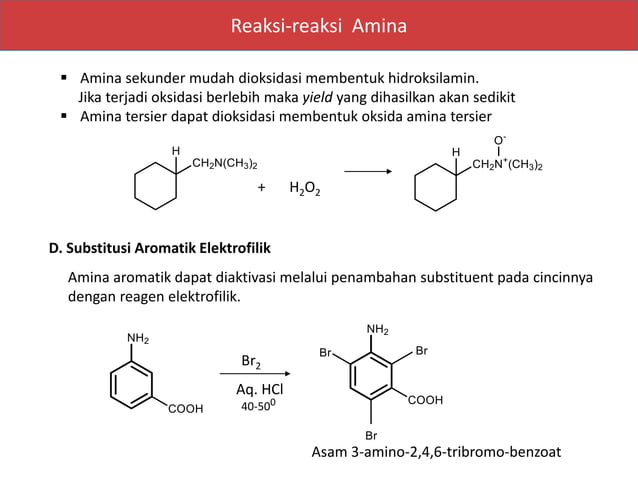 Power Point Amina dan Turunannya, Sifat-sifat Amina dsb.pptx