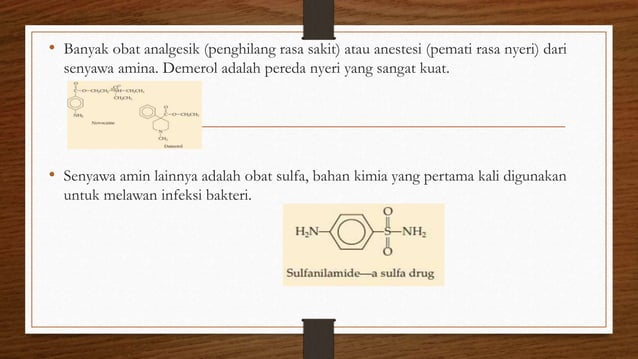 Amina dan amida | PPTX