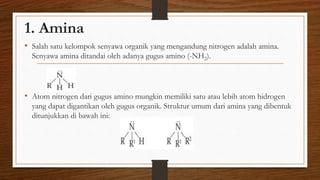 Amina dan amida | PPTX
