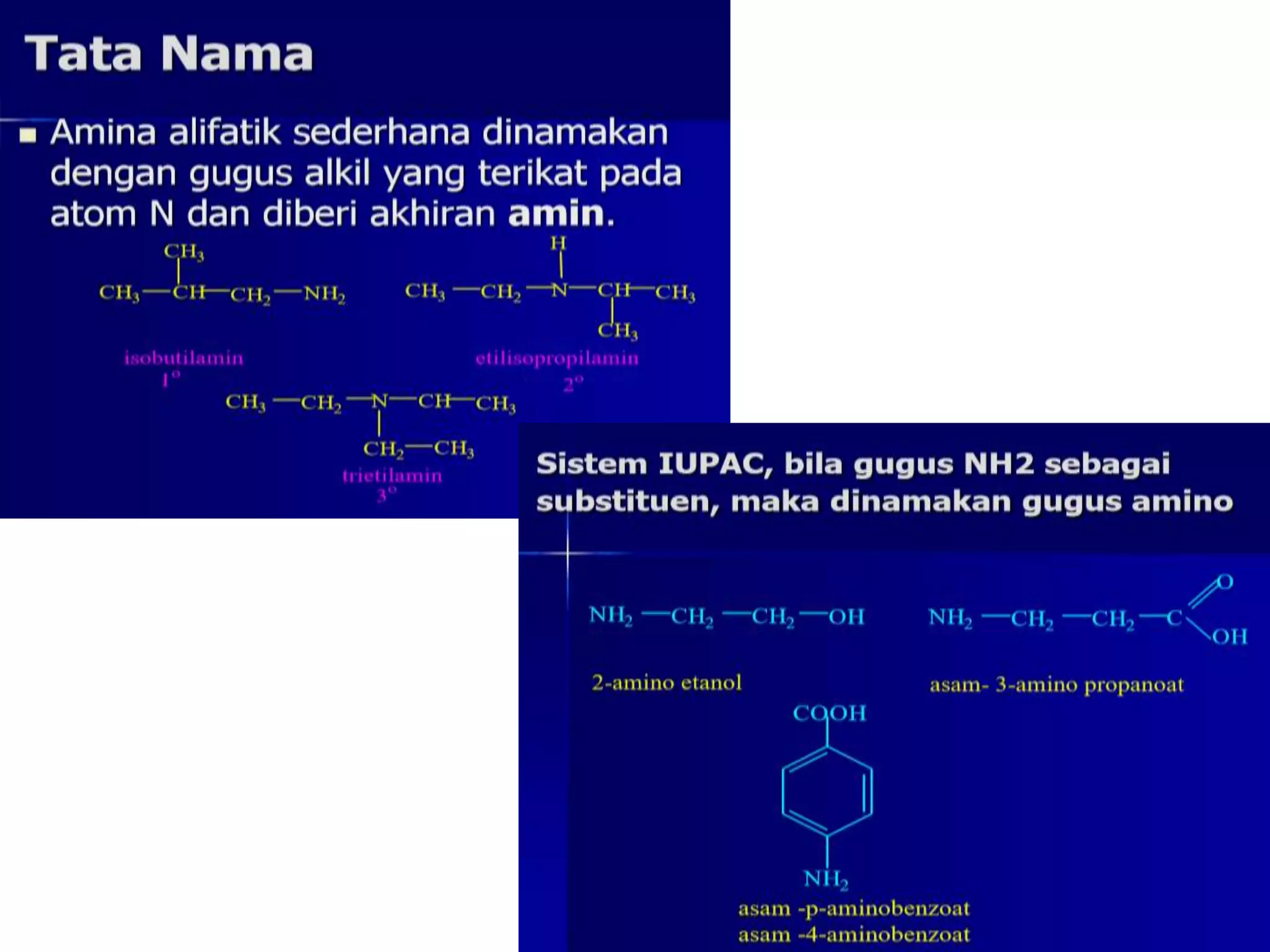 AMINA DAN AMIDA.pptx