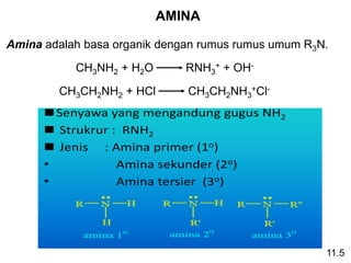 AMINA DAN AMIDA.pptx