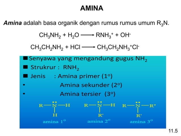 AMINA DAN AMIDA.pptx