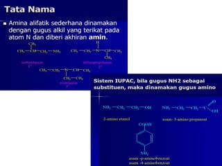 AMINA DAN AMIDA.pptx