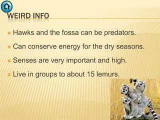 Aminal projcet | PPTX | Reptiles | Pets