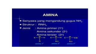 amina ppt.pptx