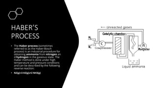 amina presentation.pdff