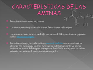Aminas | PPTX