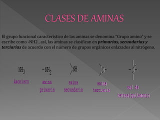 Aminas | PPTX