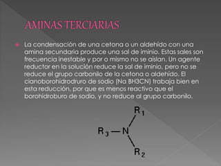 Aminas | PPTX