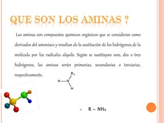 Aminas | PPT