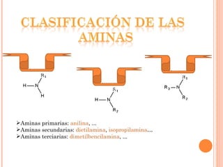 Aminas | PPT