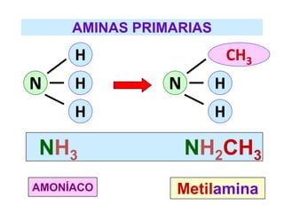 Aminas | PPTX