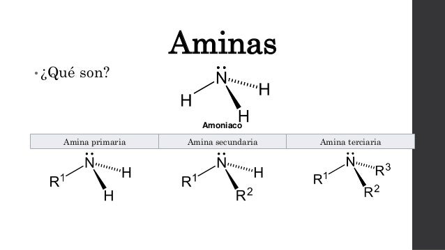 Aminas (enfermería)