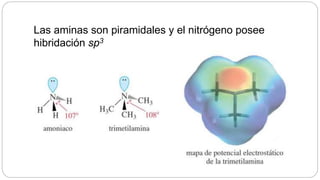 AMINAS .pptx
