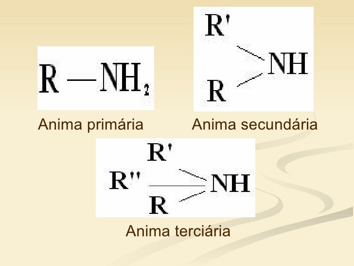 Aminas e aminoacidos