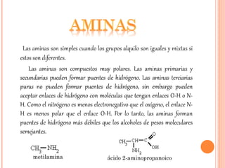 aminas-quimica organica en la vida cotidiana | PPT