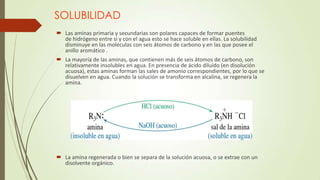 Aminas | PPTX
