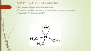 Aminas | PPTX