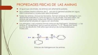 Aminas | PPTX