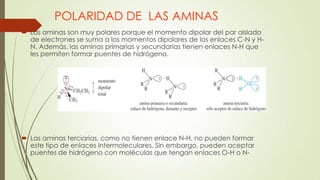 Aminas | PPTX