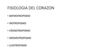 AMINAS VASOACTIVAS.pptx