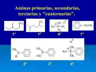 Aminas y amidas | PPT
