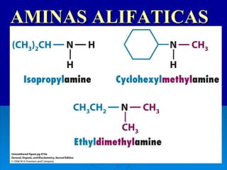 Aminas y amidas | PPT