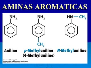 Aminas y amidas | PPT
