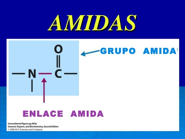 Aminas y amidas