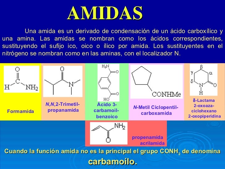 Aminas y amidas