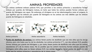 Aminas y amidas Química orgánica terciaria.pptx