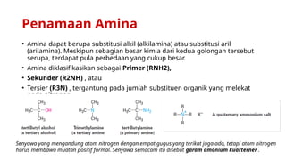 Materi Amina Mata Kuliah Kimia Organik.pptx