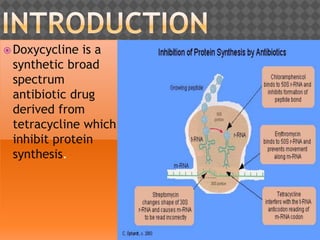 Doxycycline-tetracycline | PPTX