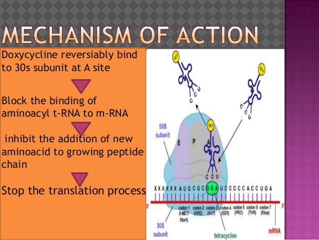 Doxycycline-tetracycline