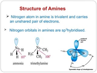 Amine.pptx good | PPTX