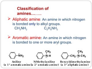 Amine.pptx good | PPTX