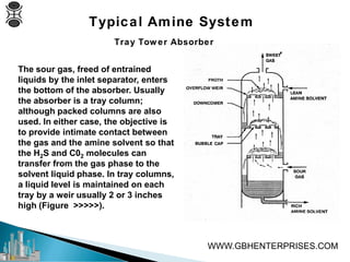 Amine_Gas_Treating_Unit_Best_Practices_T.pdf