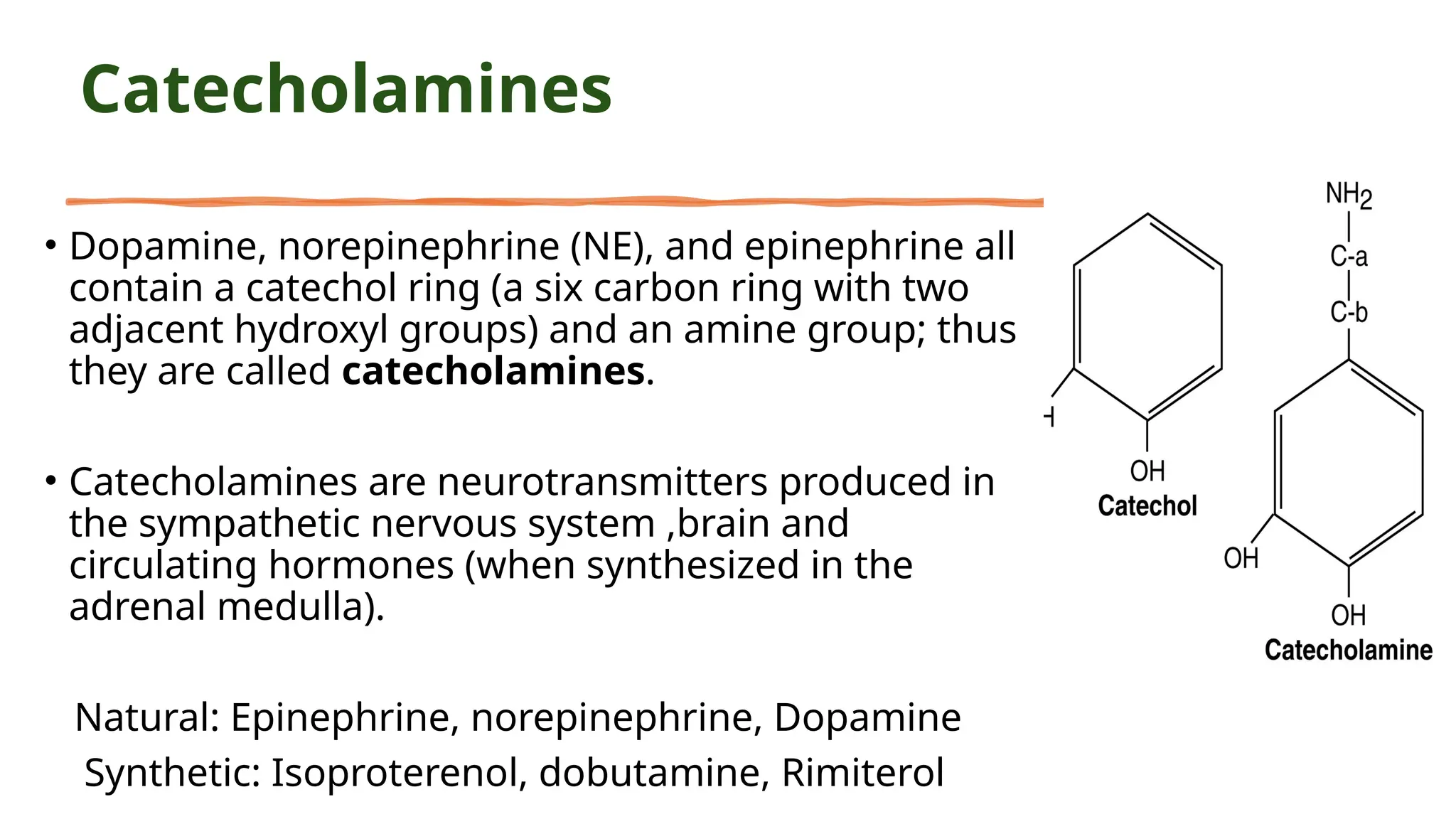 Amine neurotransmitters for psychiatry residents .pptx
