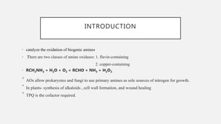 Amine oxidase and its catalytic activity | PPT