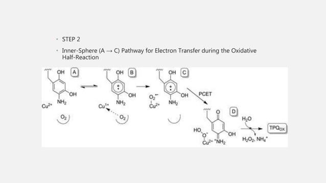 Amine oxidase and its catalytic activity | PPT