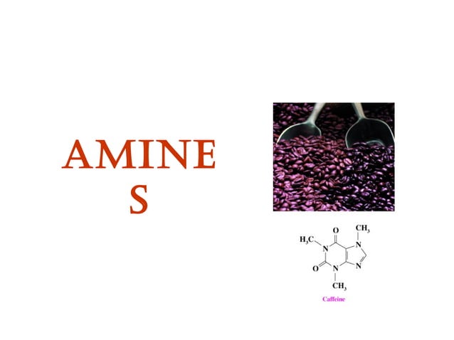 Amines ppt (chemistry) | PPT