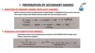 amine presentation organic chemistry.pptx